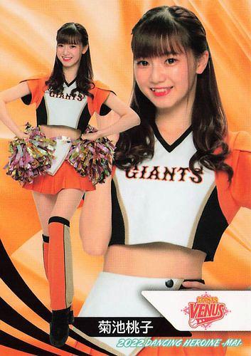 ミントモール / MINT BASE店 (TCシングル通販) / 2022 BBM プロ野球チアリーダーカード DANCING HEROINE-舞- #舞23 菊池桃子【巨人/VENUS ...