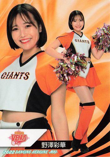 ミントモール / MINT BASE店 (TCシングル通販) / 2022 BBM プロ野球チアリーダーカード DANCING HEROINE-舞- #舞26 野澤彩華【巨人/VENUS ...