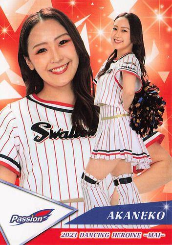 ミントモール / MINT BASE店 / 2023 BBM プロ野球チアリーダーカード DANCING HEROINE-舞- #舞54 AKANEKO【ヤクルト/Passion】 レギュラーカード