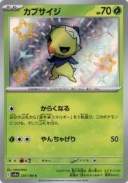 ミントモール / TEAM MINT店 (TCGシングル通販) / 【sv4a】カプサイジ[207/190](S)